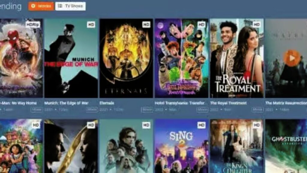 Unraveling the Wonders of cataz.net: Your Ultimate Guide - Caliber Magazine