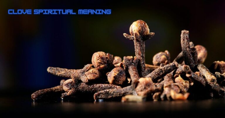 Clove Spiritual Meaning and Symbolism