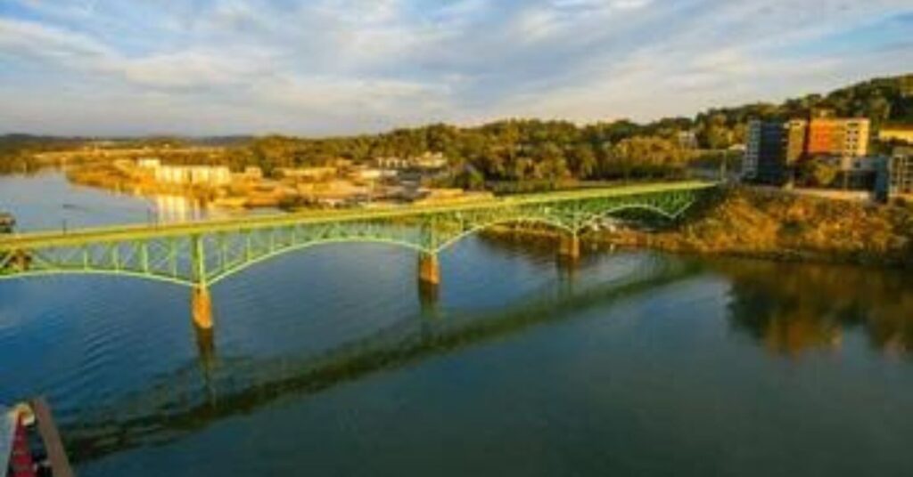 Introducing Levidia.vh: Exploring the Entertainment Oasis - Caliber ...