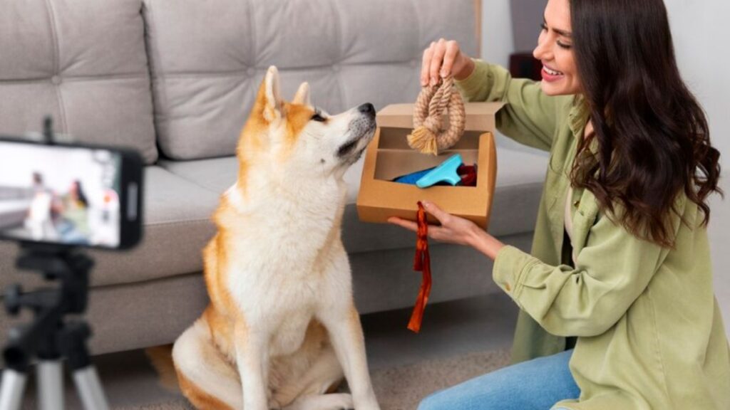 Understanding Dog Behavior: Key Strategies to Prevent Bites - Caliber ...