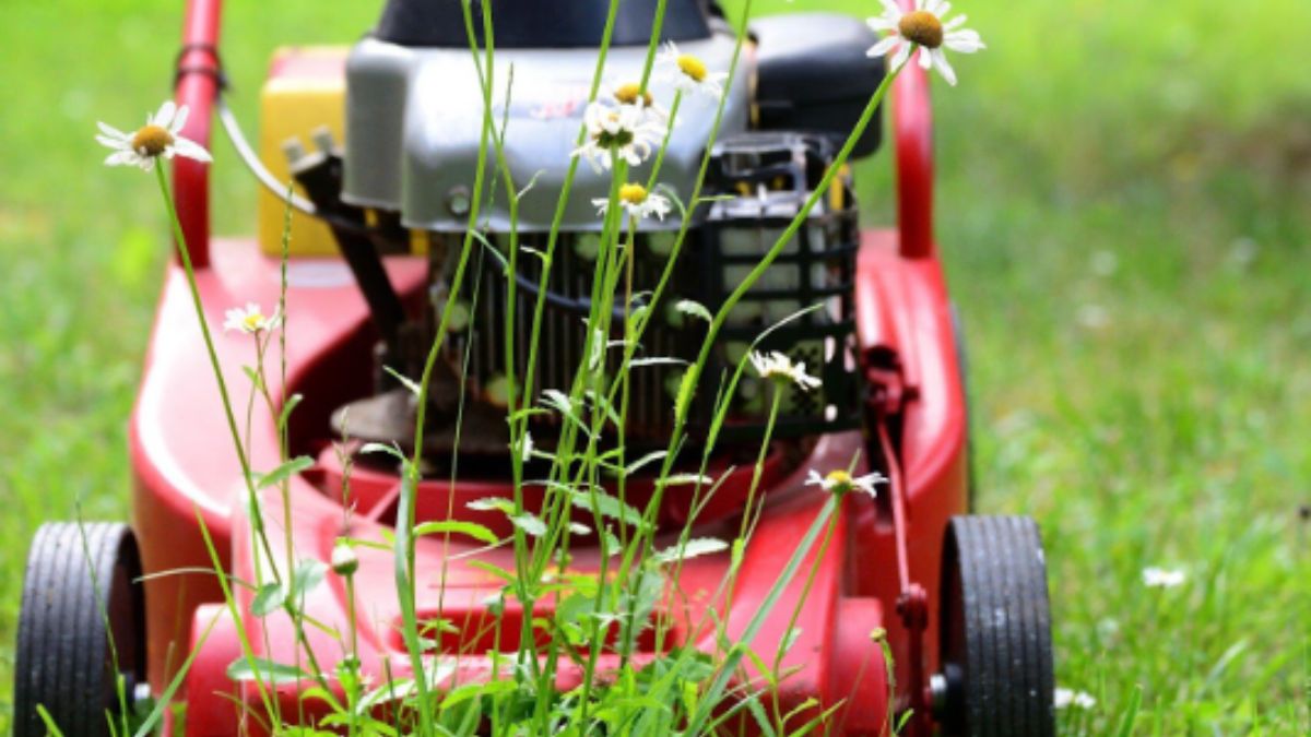 Self-Sufficient Landscaping: Automation Is Changing Lawn Care