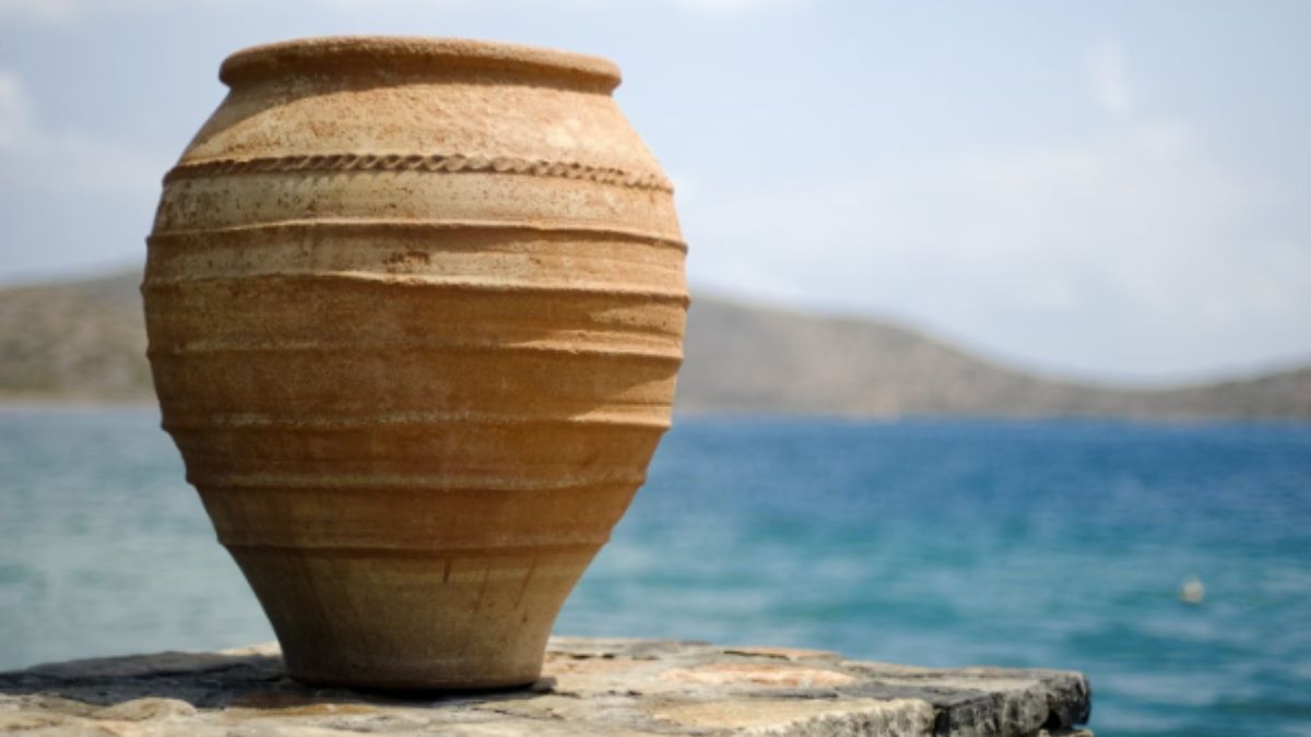 Understanding the Importance of Receo vs in Emergency Response ...